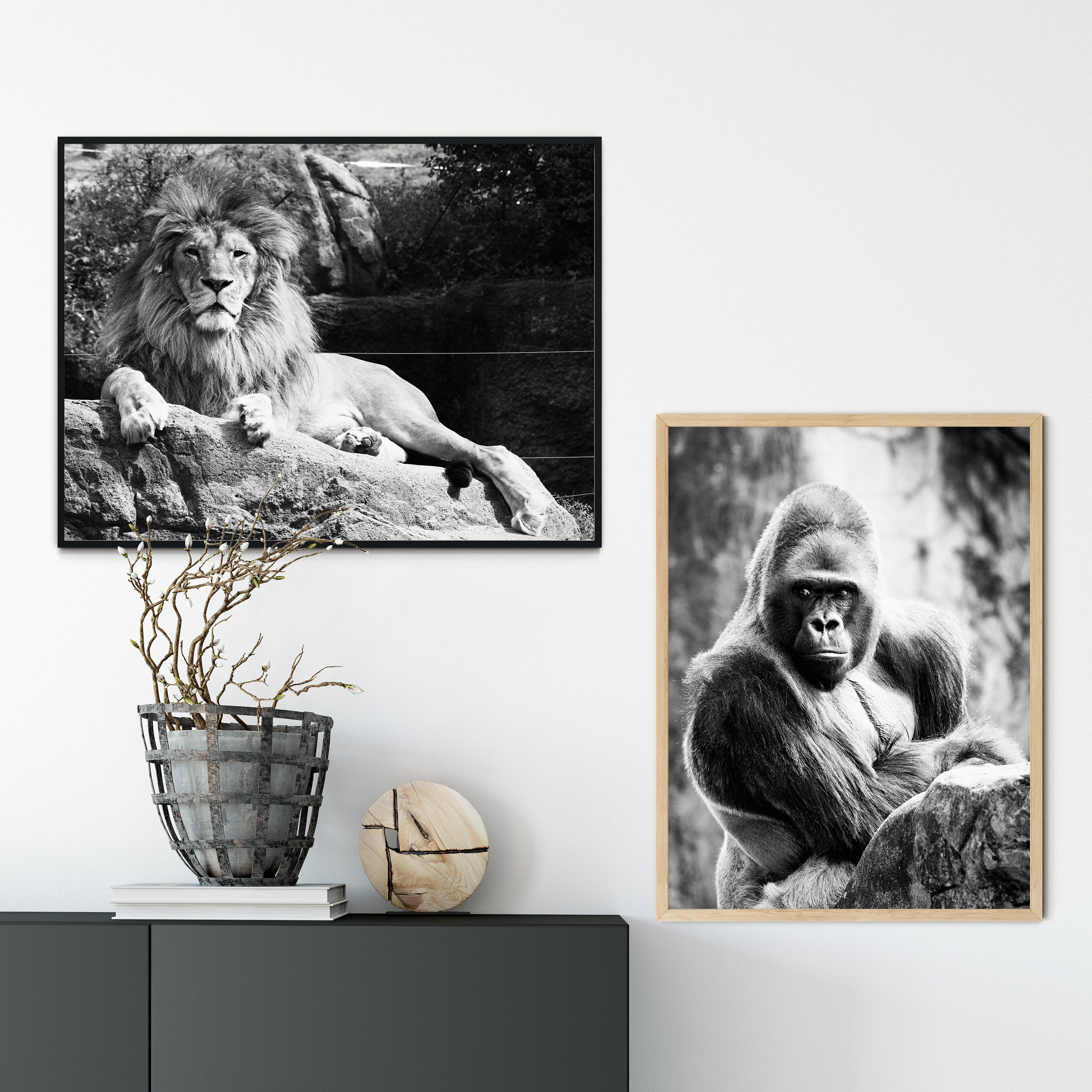 Lion Print Lion Photo Lion Poster Lion Fine Art - Etsy