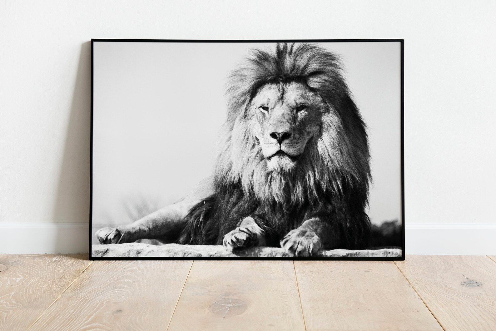 Lion Print Lion Photo Lion Poster Lion Fine Art | Etsy