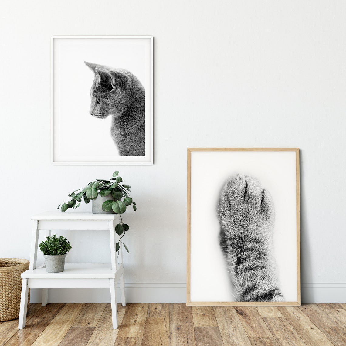 Cat Print Cat Photo Cat Poster Cat Fine Art Photography - Etsy
