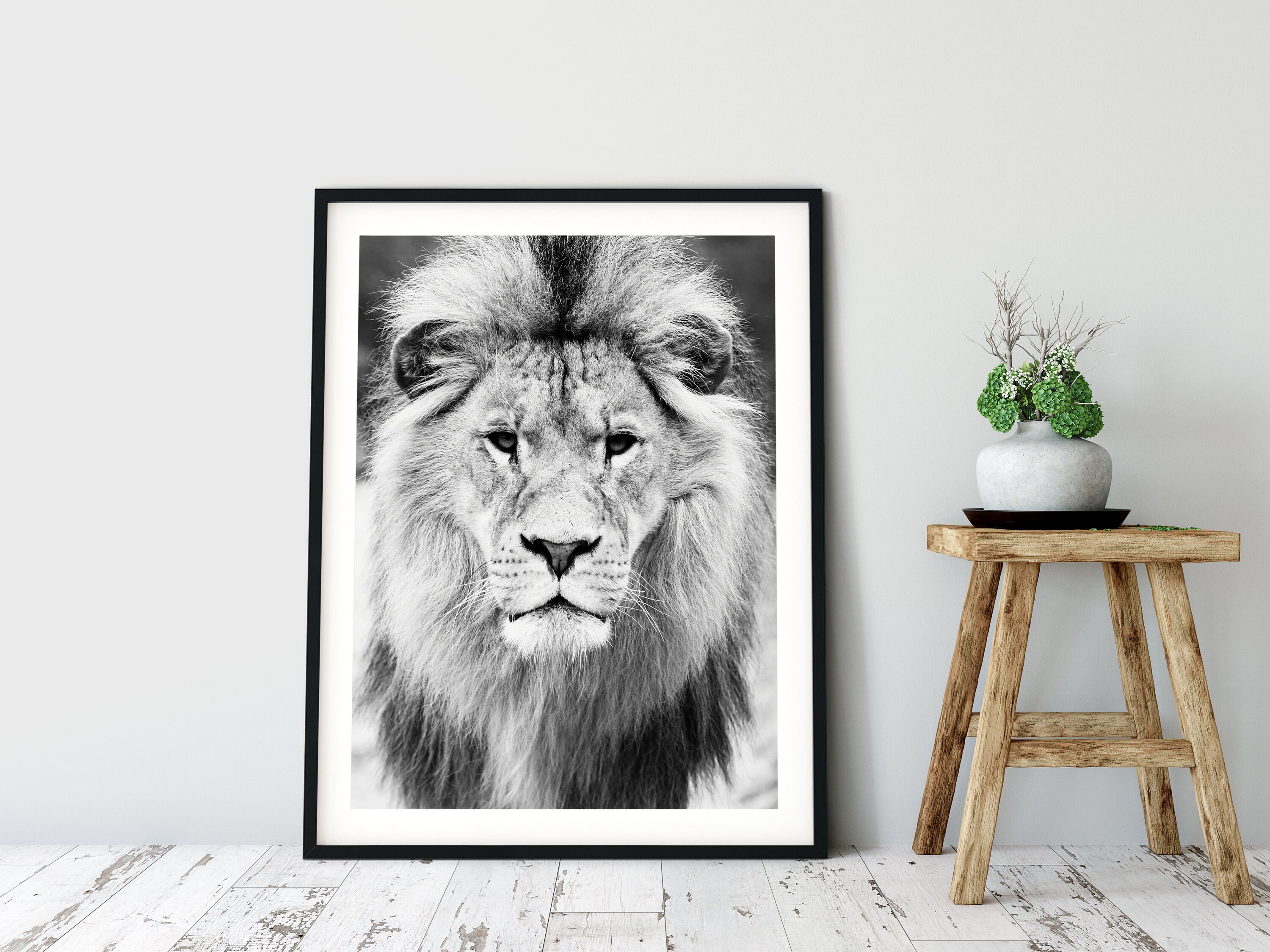 Lion Print Lion Photo Lion Poster Lion Fine Art | Etsy