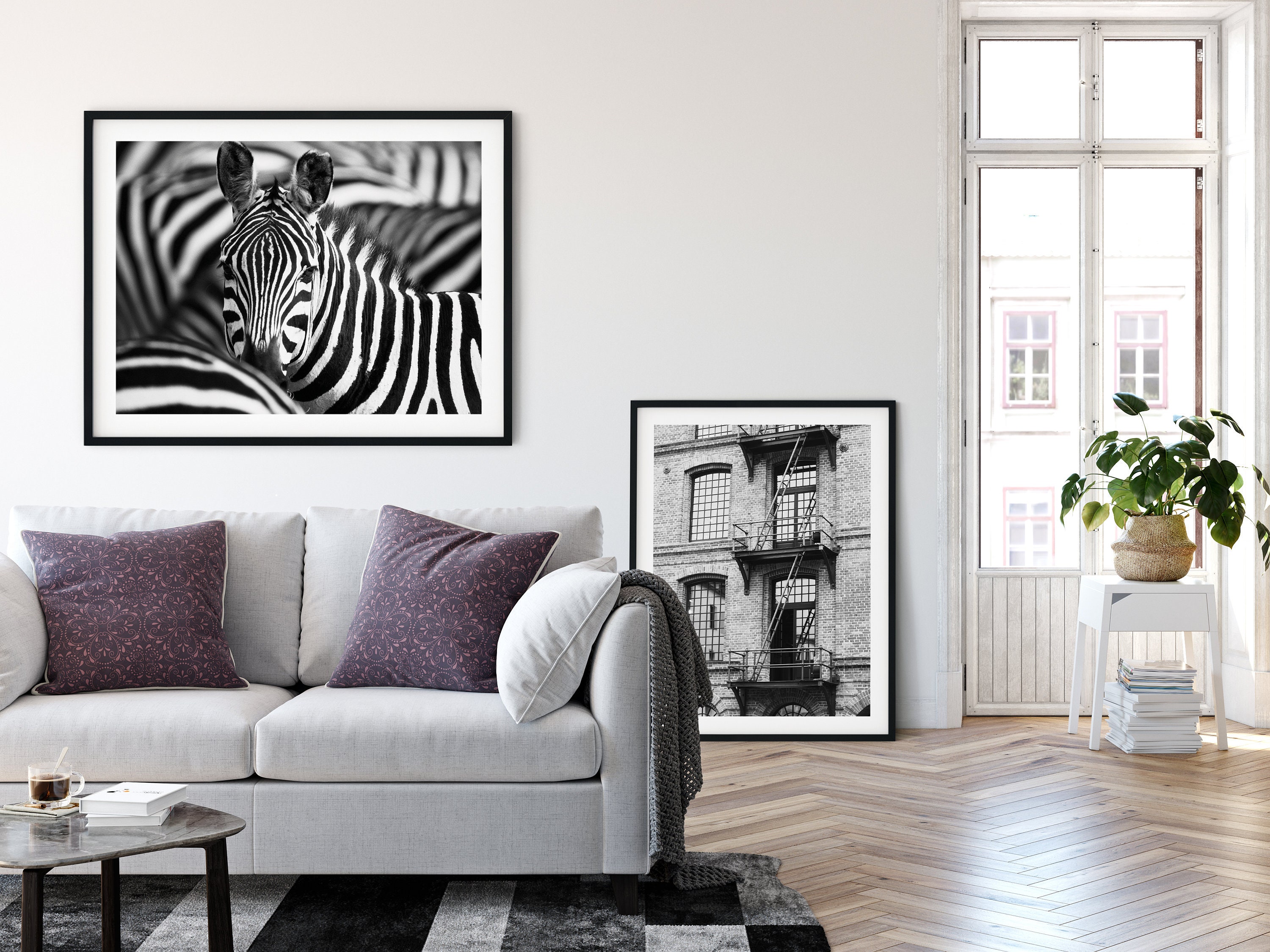 Zebra Print, Zebra Photo, Zebra Poster, Zebra Fine Art Photography ...