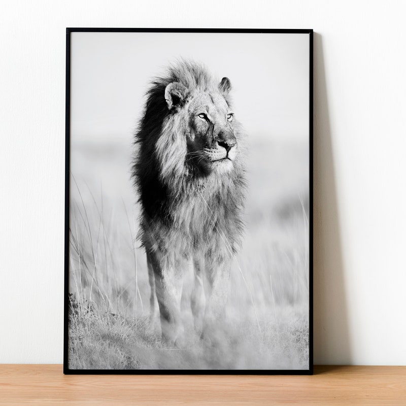 Lion Print - Etsy