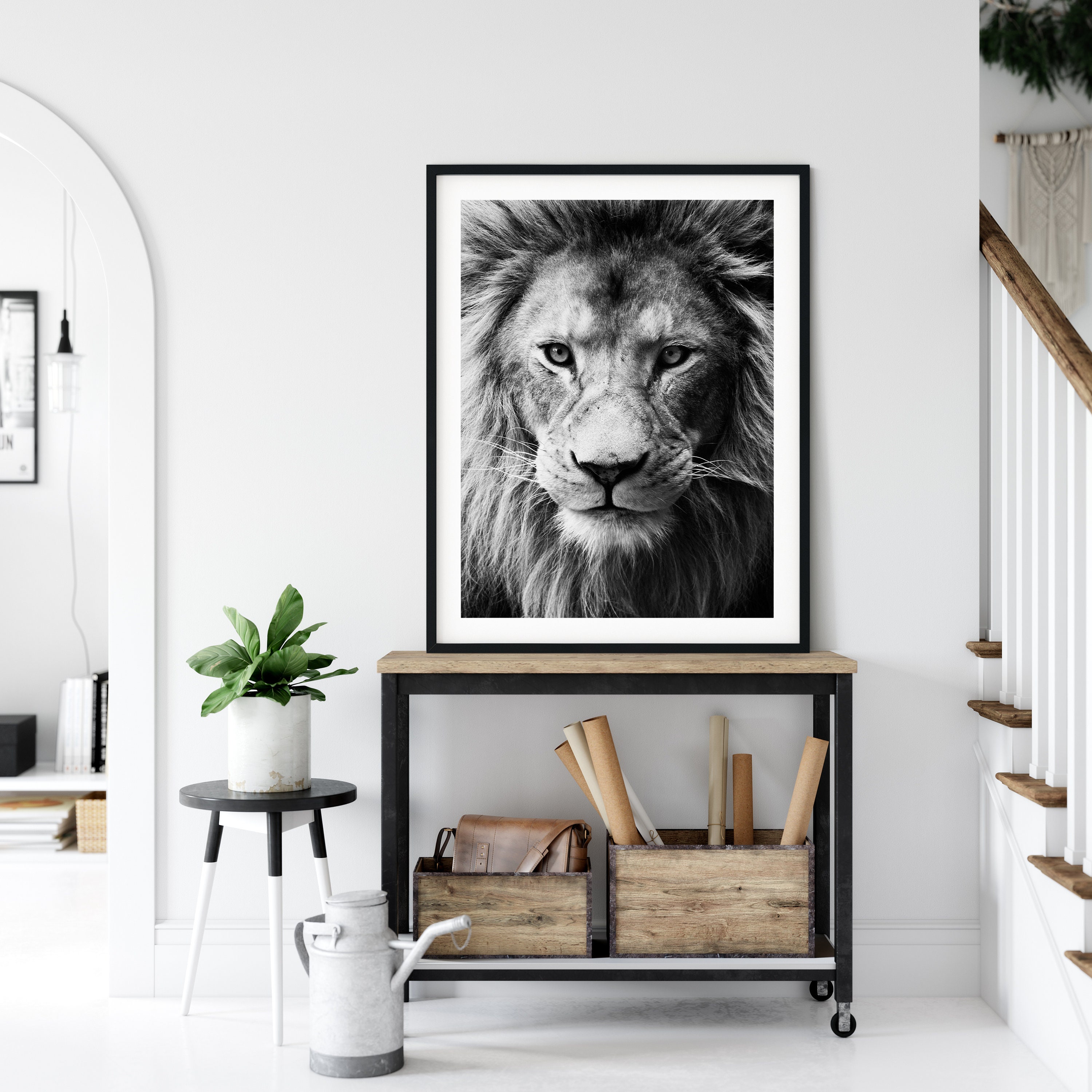 Lion Print Lion Photo Lion Poster Lion Fine Art - Etsy