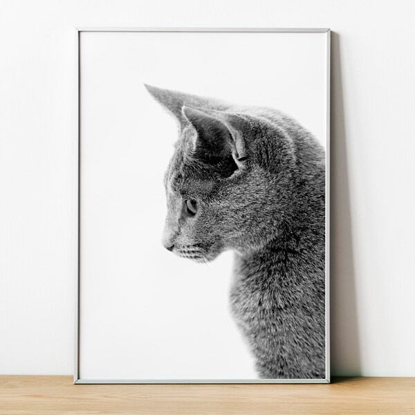 Black Cat White Frame - Etsy