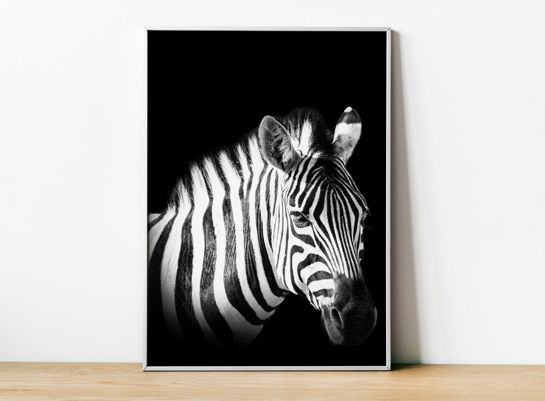 Zebra Print, Zebra Photo, Zebra Poster, Zebra Fine Art Photography ...