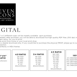 Pablo Picasso Sausage Dog Print Minimalist Picasso Print - Etsy