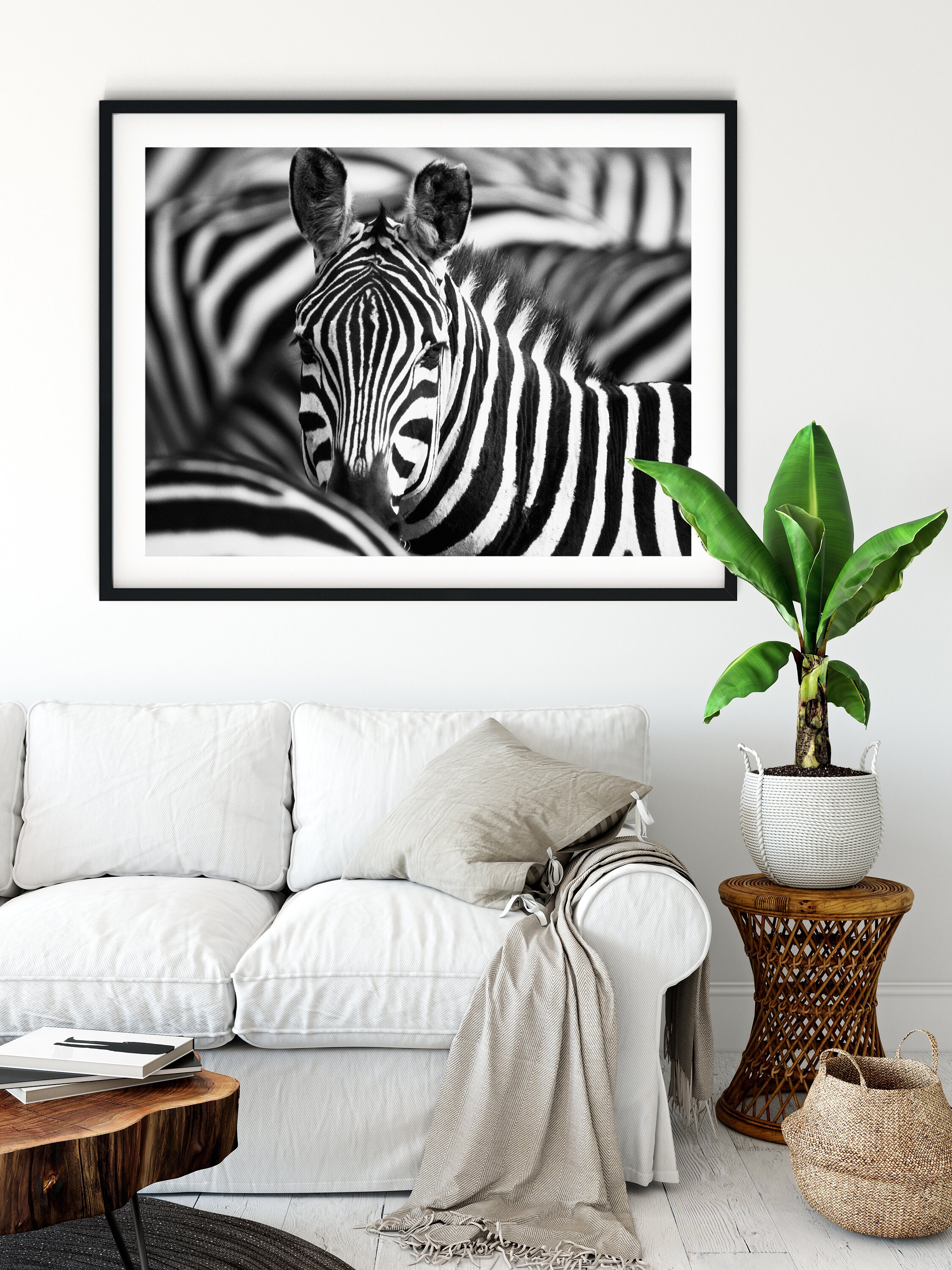 Zebra Print Zebra Photo Zebra Poster Zebra Fine Art - Etsy