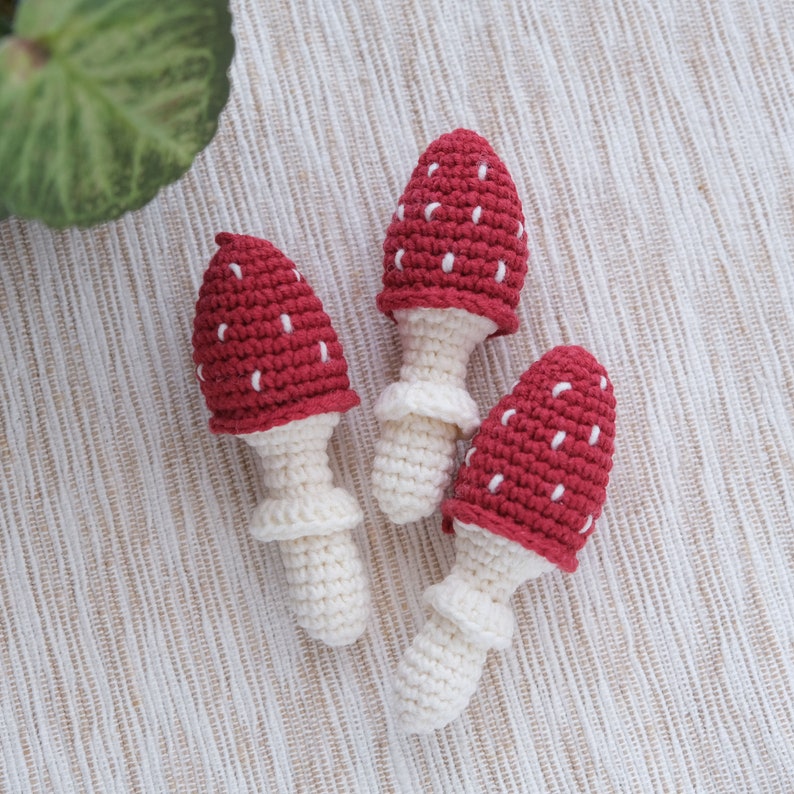 Mini Mushroom Pattern Easy Crochet Pattern, Amigurumi Pdf in English ...