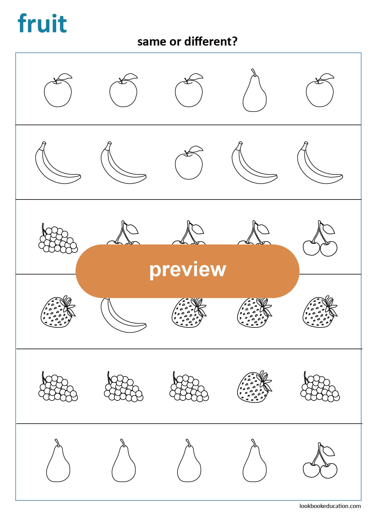 Workbook Fruit - Digital File - Etsy