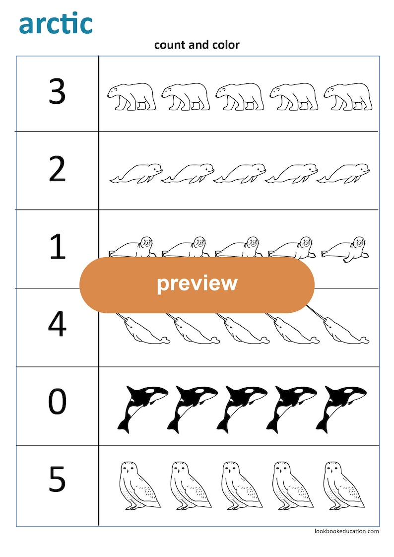 Workbook Arctic Digital File - Etsy