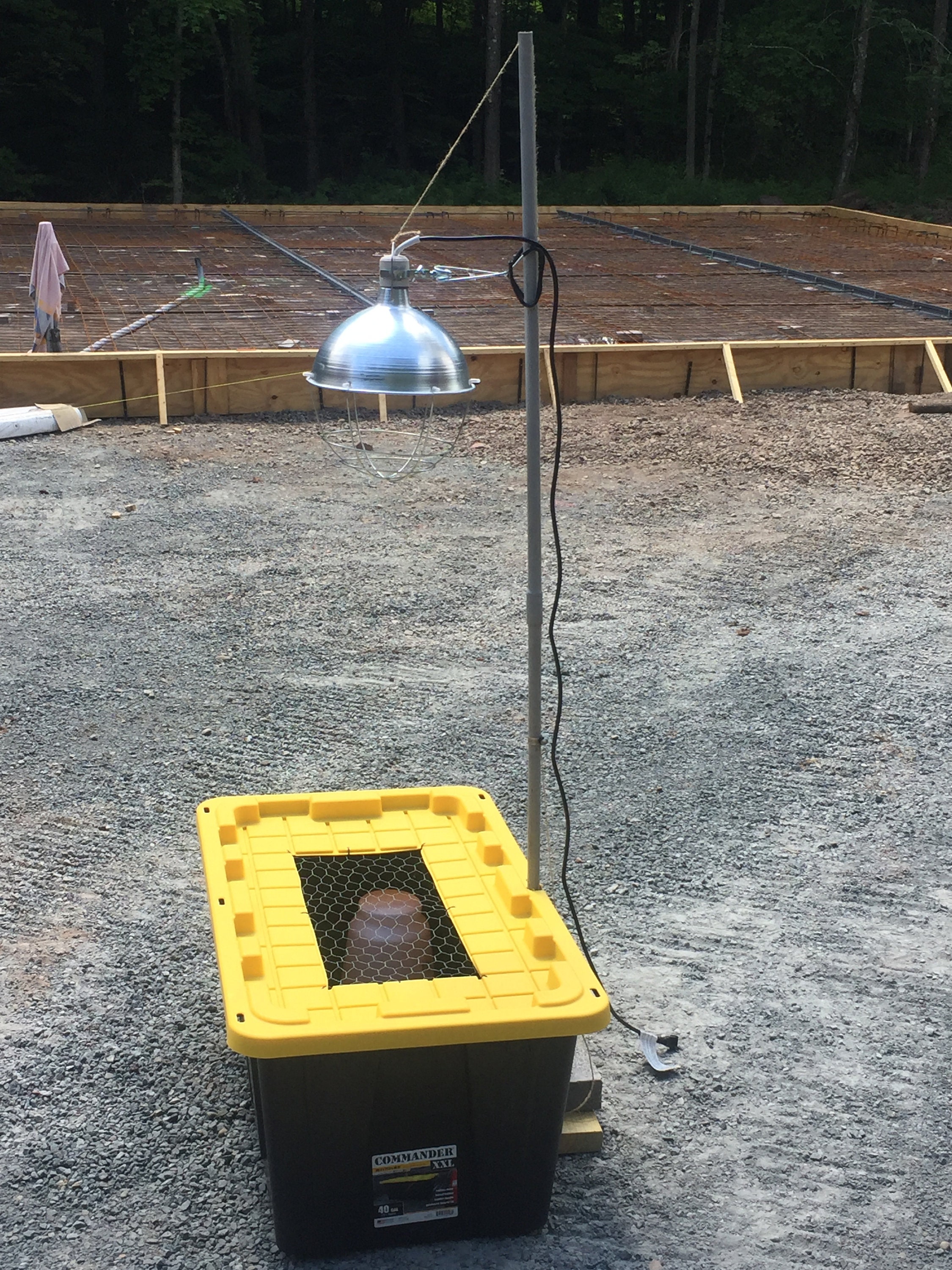 Plans to Build: Duck / Chicken / Poultry Brooder Box - Etsy