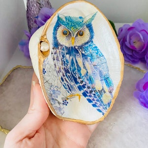 Decoupage Owl Offering Shell Oyster Shell Ring Dish Owl Lover Decor ...