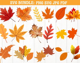 Fall Leaves Svg, Fall Svg, Cut Files for Cricut, Glowforge Files, Fall ...