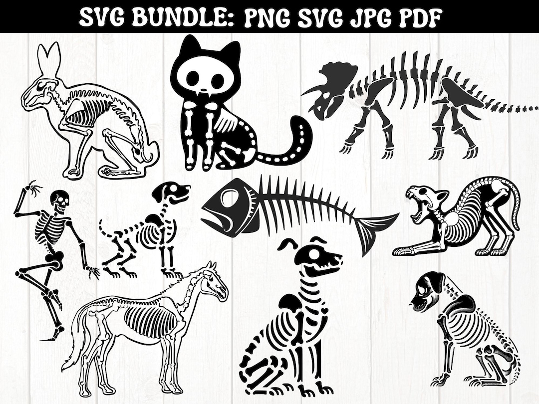 Animal Skeleton SVG Bundle for Cricut, Dog, Cat, Rooster Chicken ...