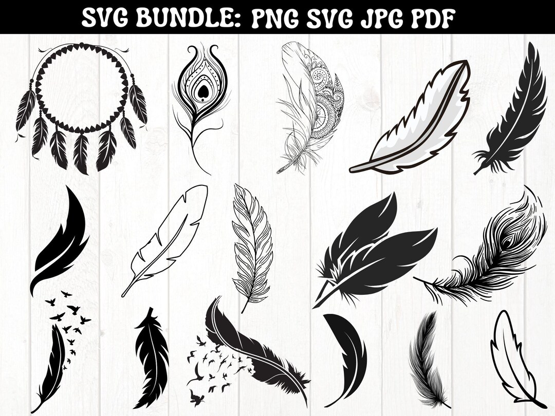Feather Svg Bundle, Feather Birds Svg, Png, Jpg, Feathers Silhouette ...