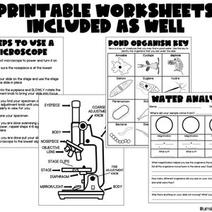 Pond Water Microscope Lab Activity - Etsy