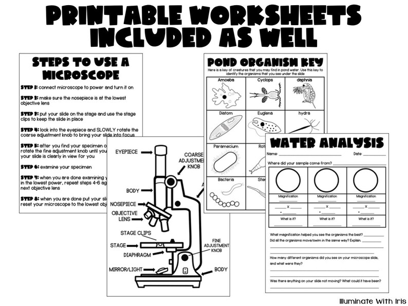 Pond Water Microscope Lab Activity - Etsy