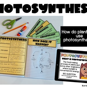 Photosynthesis Lesson - Etsy