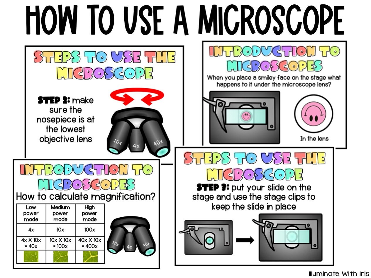 Introduction to Microscopes - Lesson Plans - Etsy