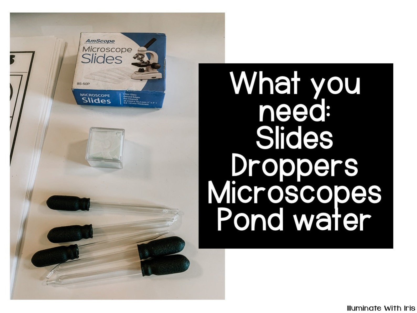 Pond Water Microscope Lab Activity - Etsy