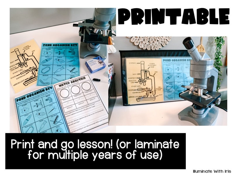 Pond Water Microscope Lab Activity - Etsy