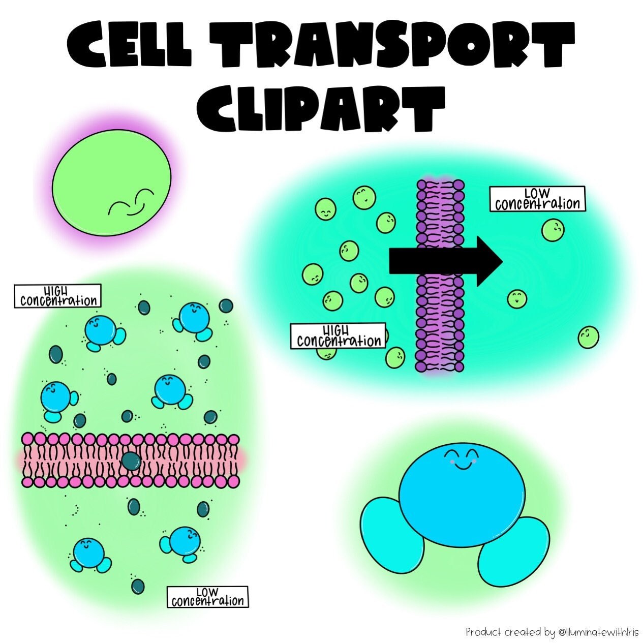 Cell Transport Clipart - Etsy