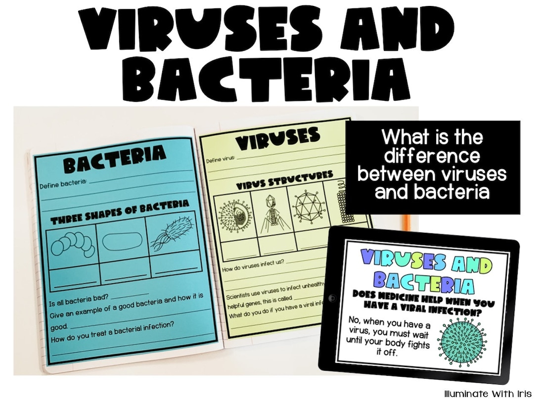 Introduction to Viruses and Bacteria Lesson Plans - Etsy