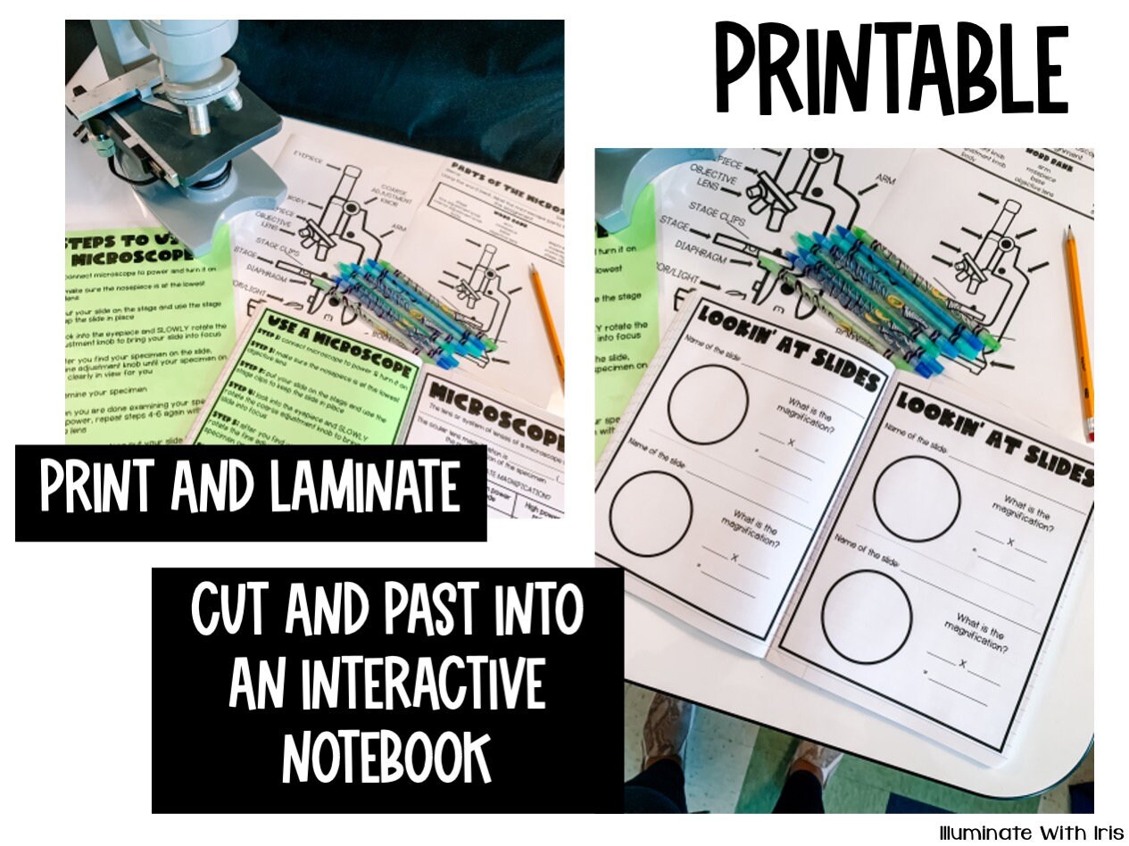 Introduction to Microscopes - Lesson Plans - Etsy