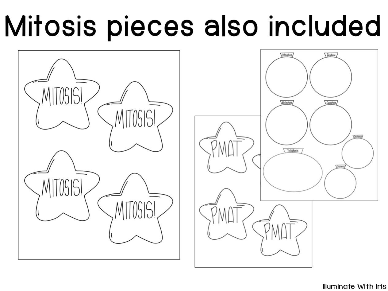 EDITABLE Create Your Own Christmas Tree BONUS Mitosis Included - Etsy