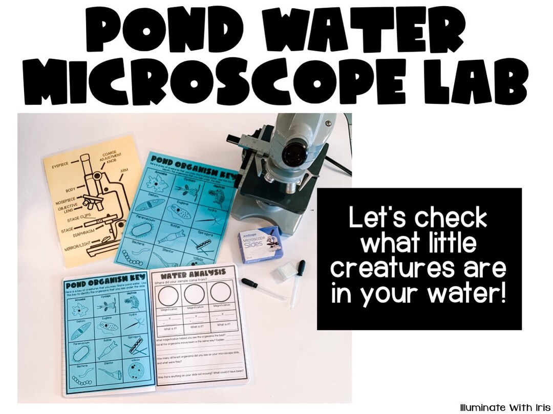 Pond Water Microscope Lab Activity - Etsy