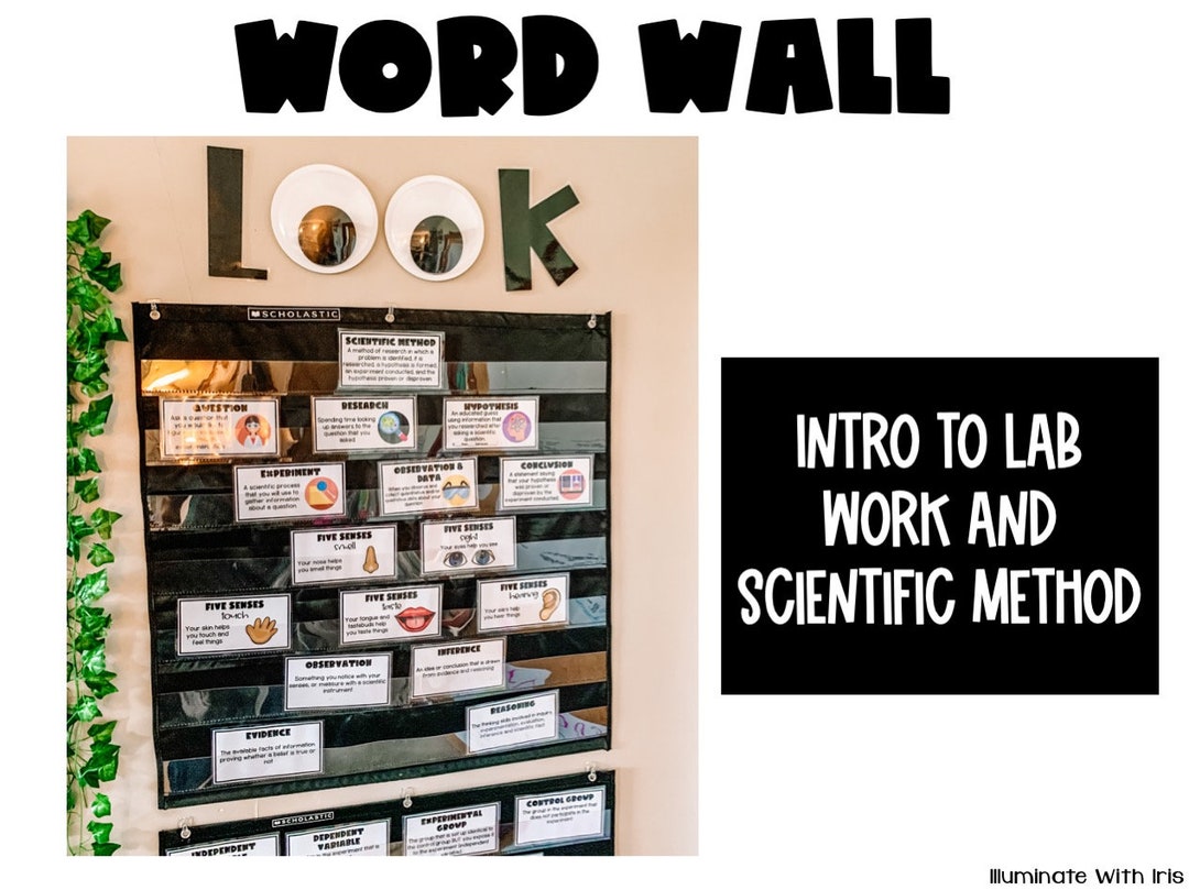 Science Word Wall - Scientific Method, Microscopes, and Graphing - Etsy