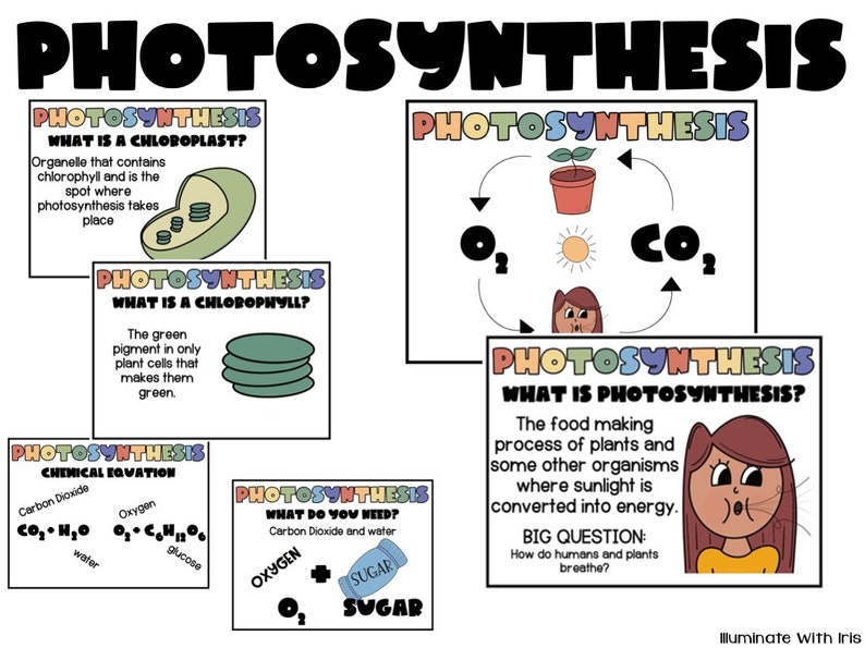 Photosynthesis Lesson Plans - Etsy
