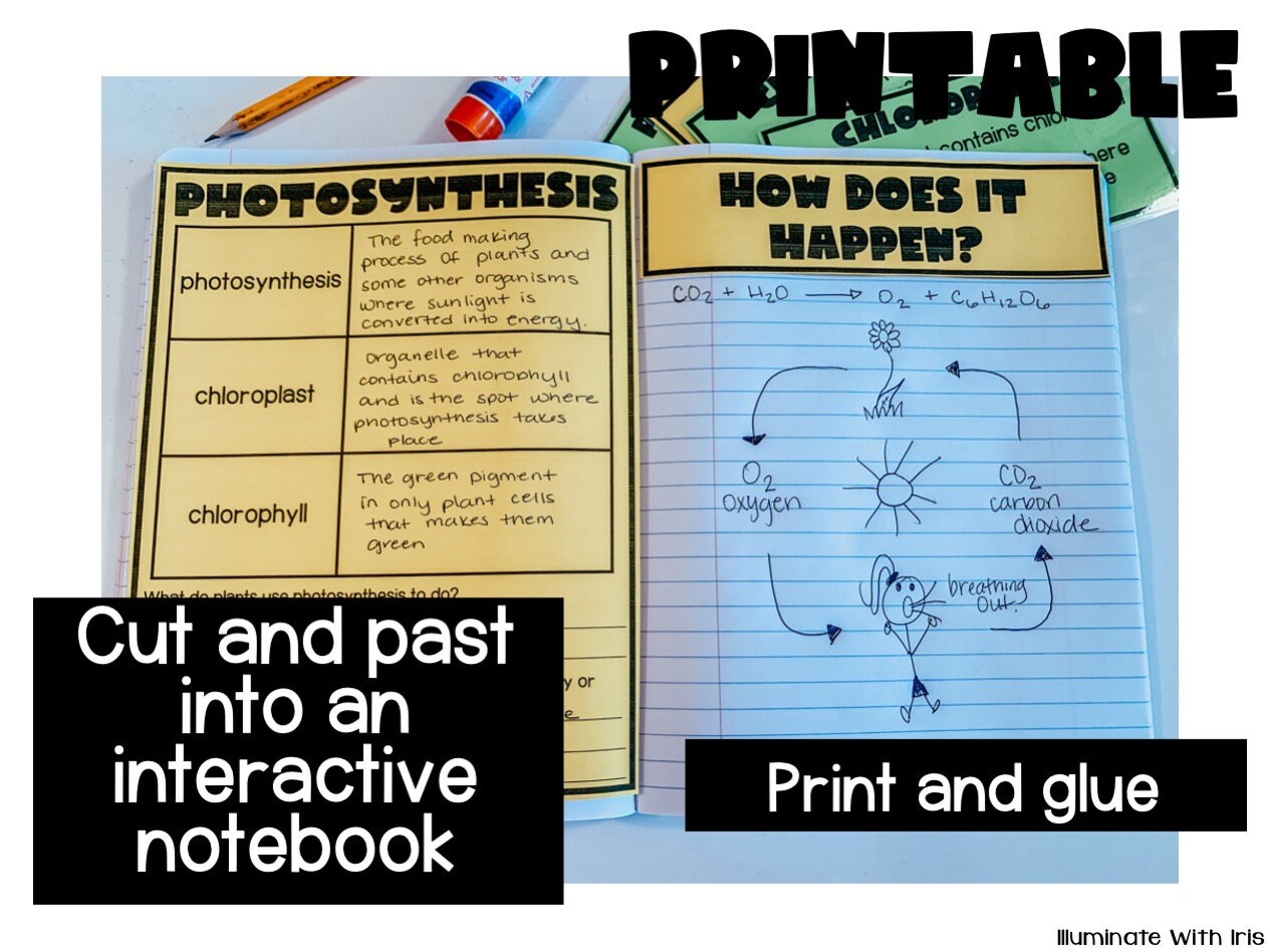 Photosynthesis Lesson Plans - Etsy