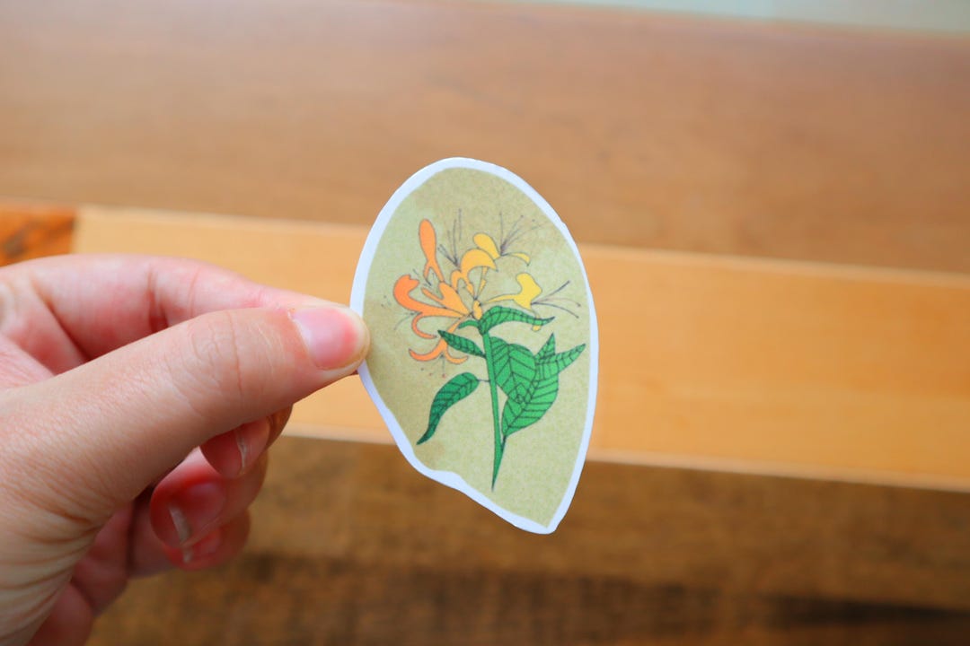Vintage Honeysuckle Die-cut Sticker Water-resistant & Glossy, Perfect ...