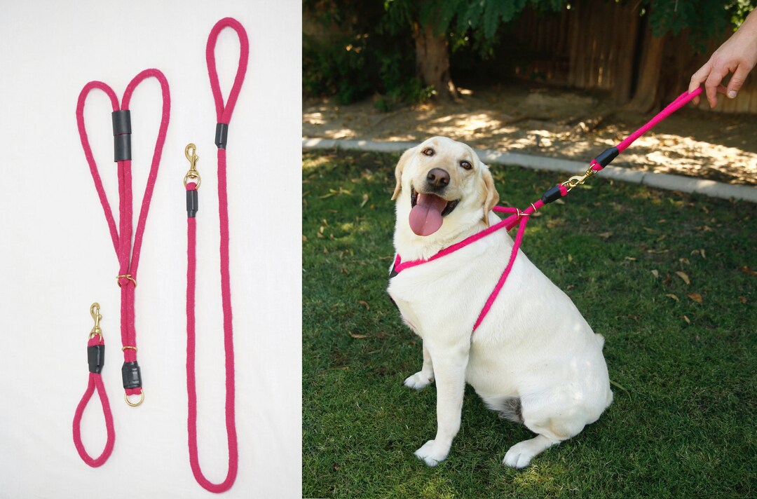 Dog Harness and Leash Set Add a Leash and Traffic Handle - Etsy