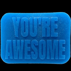 Youre Awesome Gift Soap Bar Embossed Handmade, Vegetable Based, Paraben ...