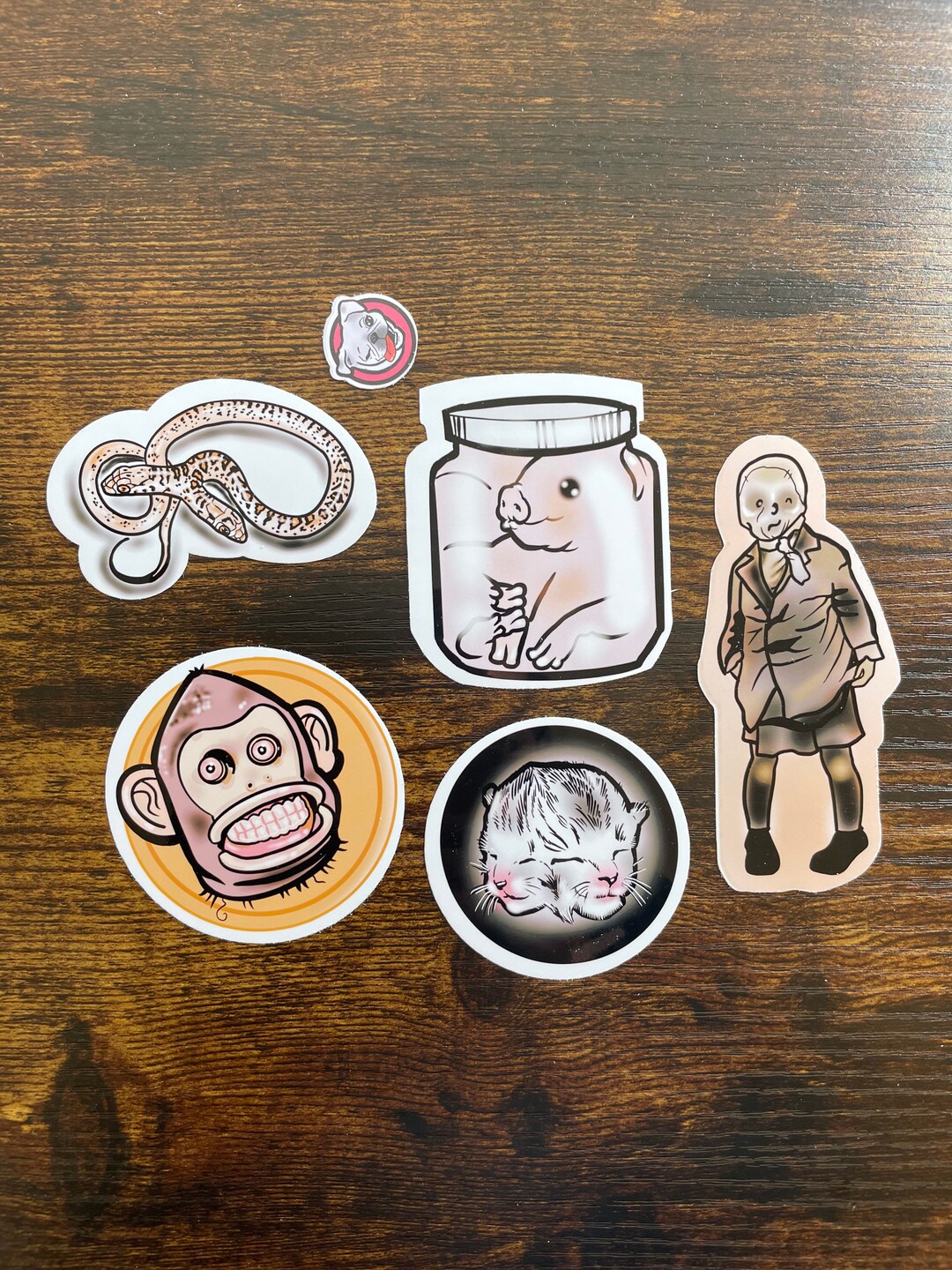 Oddities Sticker Pack - Etsy