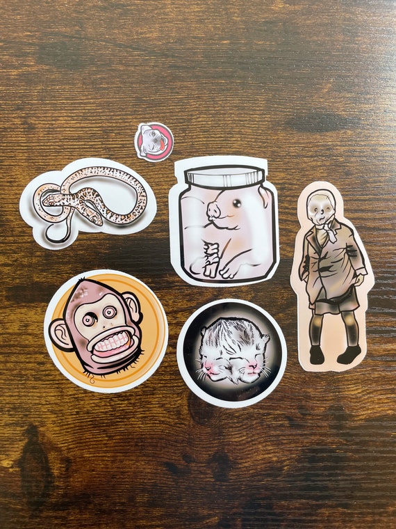 Oddities Sticker Pack | Etsy