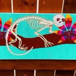 Spider Monkey Skeleton - Etsy