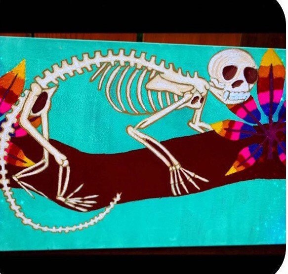 Spider Monkey Skeleton - Etsy