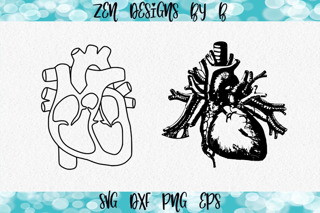 Anatomical Heart SVG Cut File - Etsy
