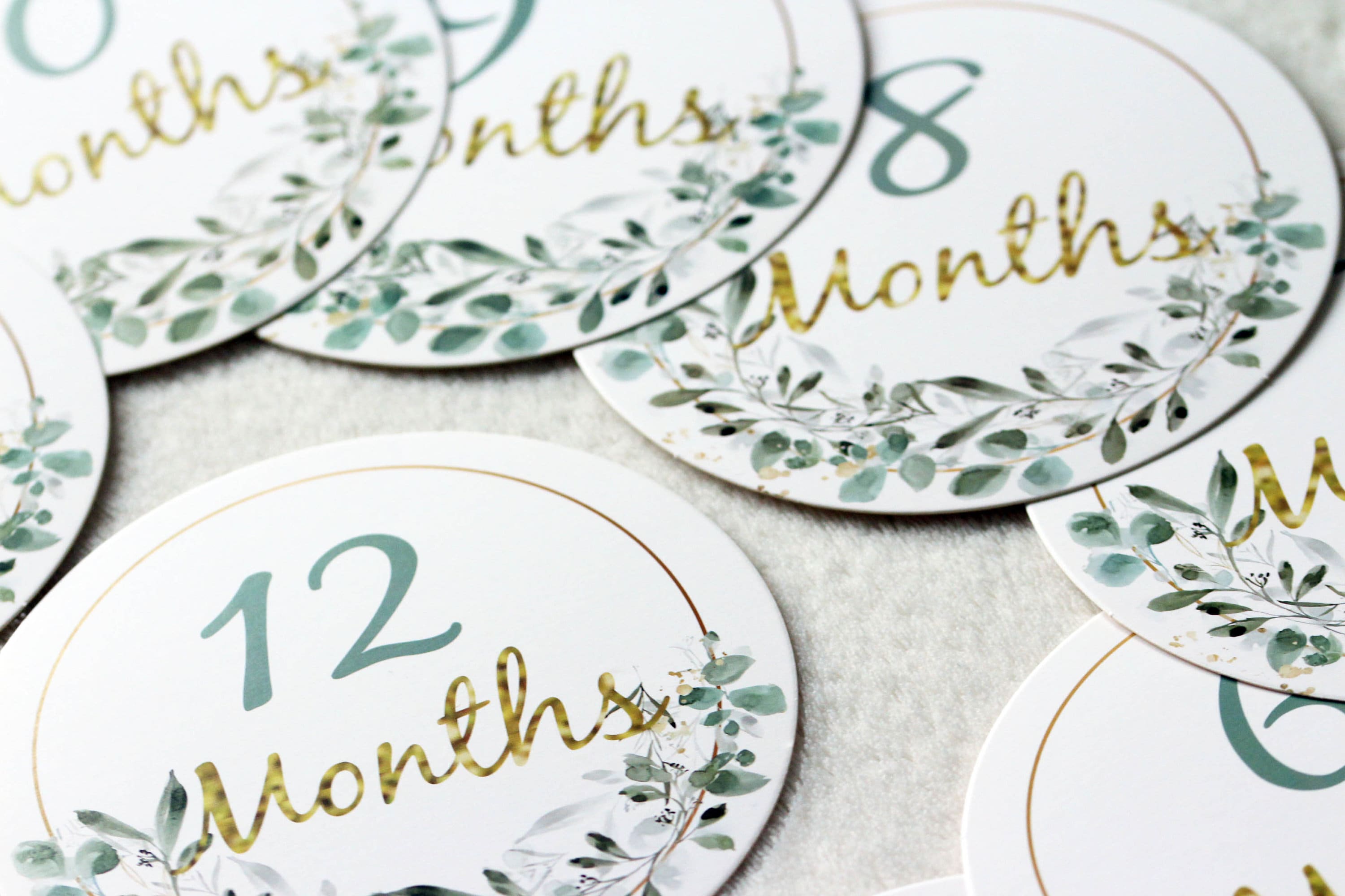 Baby Milestone Cards | Eucalyptus Print Milestone Discs | Monthly ...