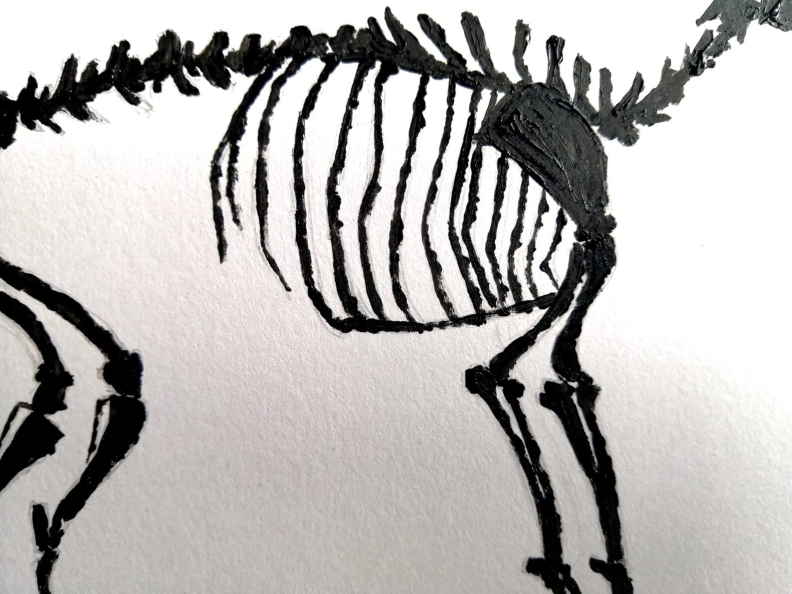 Original Painting Dog Skeleton on A4 Art Paper | Etsy