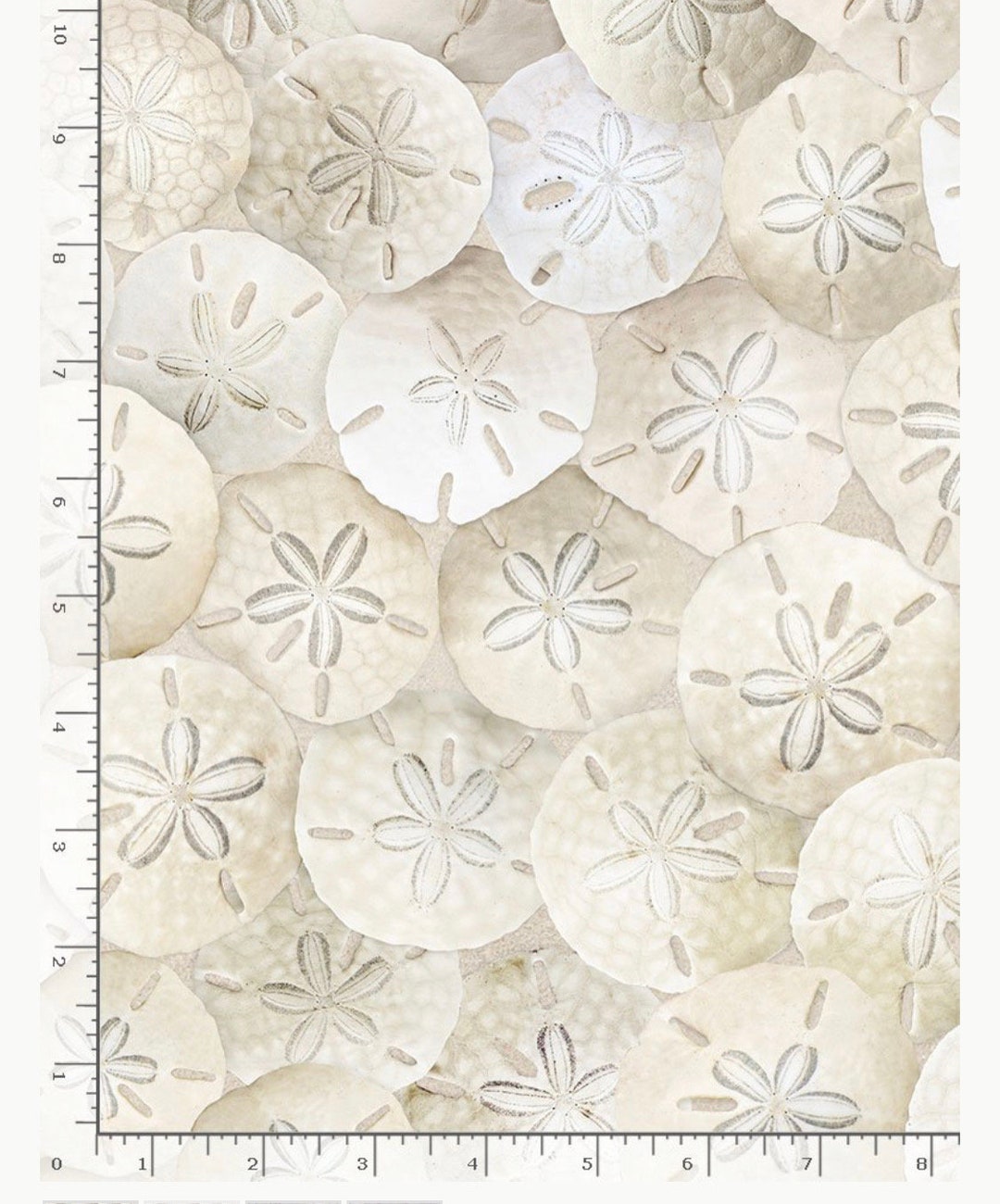 BEACH C8461 SAND PACKED Sand Dollars - Timeless Treasures Fat Quarter ...