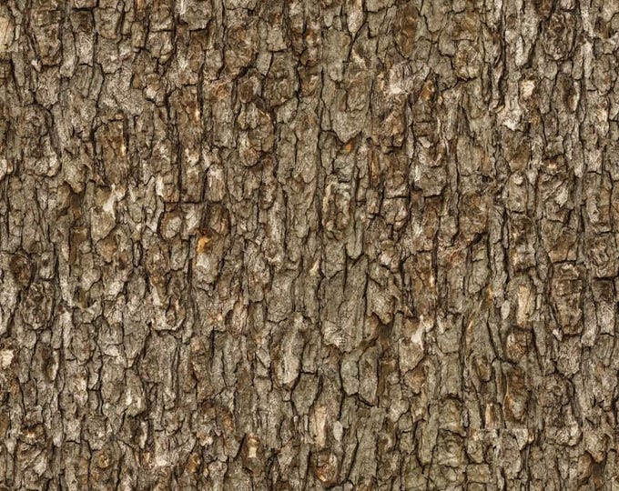 Bark Appearance Brown Walnut Bark 100% Cotton Fabric - Continuous Cuts ...