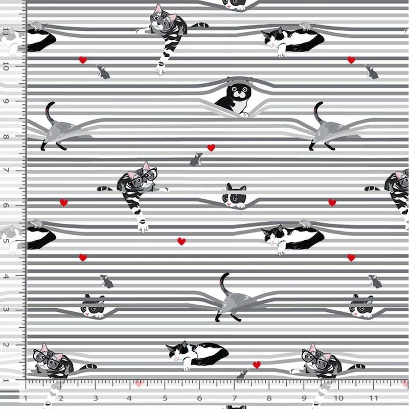 Fat Cat 2 in 1 - Etsy