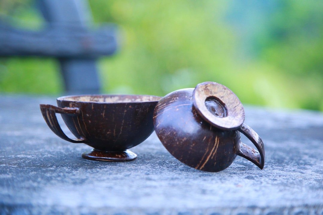 6pcs Natural Coconut Shell Coffee Tea Cup Mugs Handcraft - Etsy