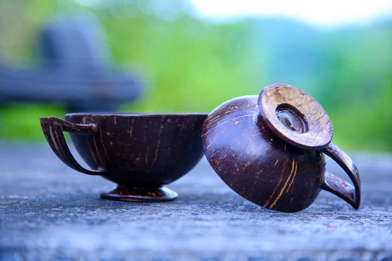 6pcs Natural Coconut Shell Coffee Tea Cup Mugs Handcraft - Etsy