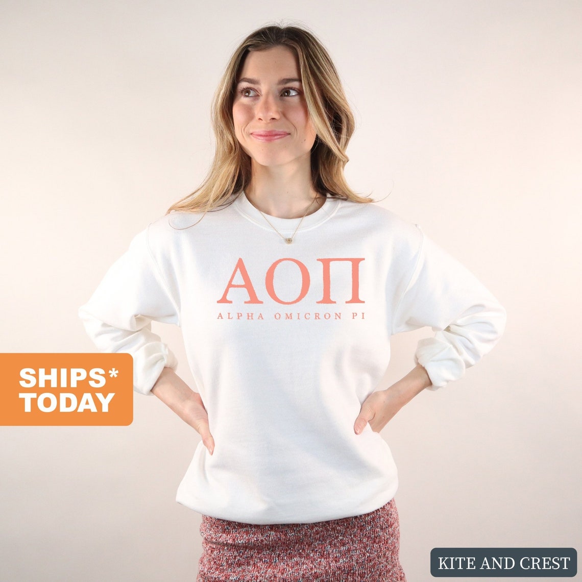 Alpha Omicron Pi Sweatshirt AOPI Colored Block Letters | Etsy