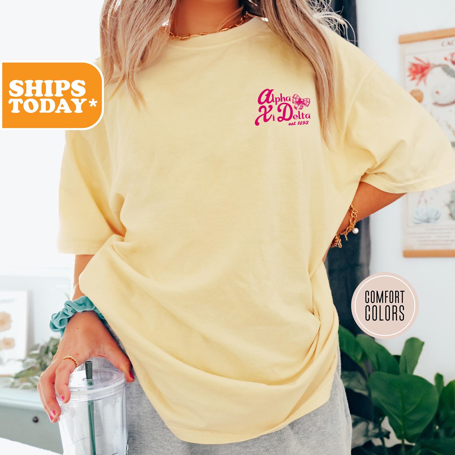 Alpha Xi Delta Comfort Colors Sorority T-shirt | Alpha Xi Greek Gifts ...